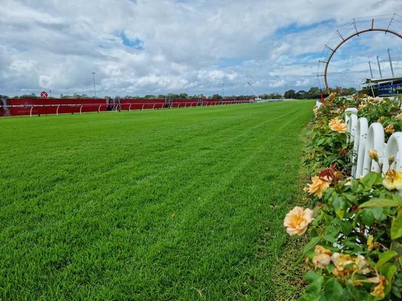 Guide to Rosehill - Punt Form Pro